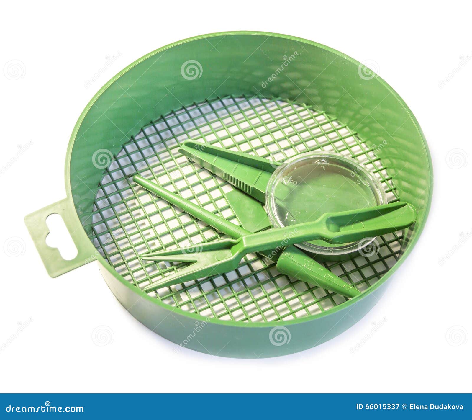 Device for Planting Seeds and Transplanting Seedlings Stock Image ...