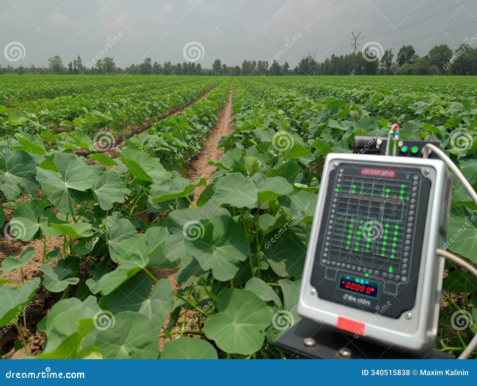 A Device is Sitting in a Field of Green Plants Stock Photo - Image of ...