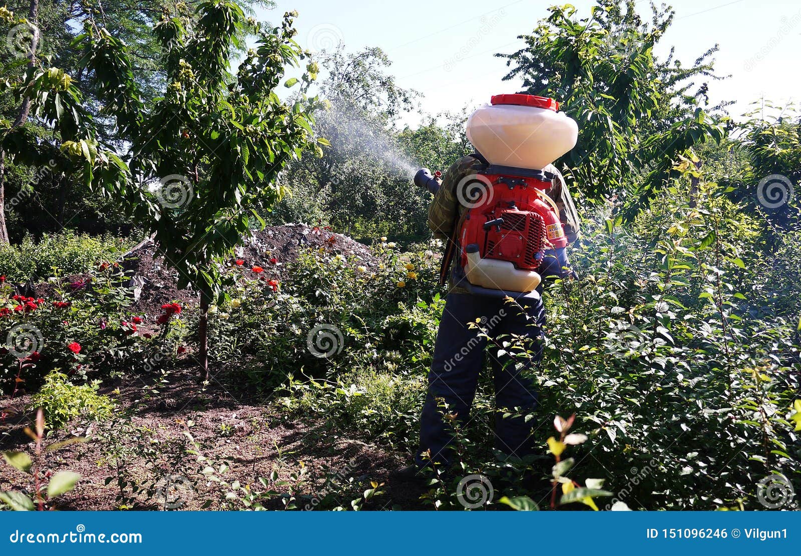 Device for Spraying Plants in the Garden. Details and Close-up Stock ...