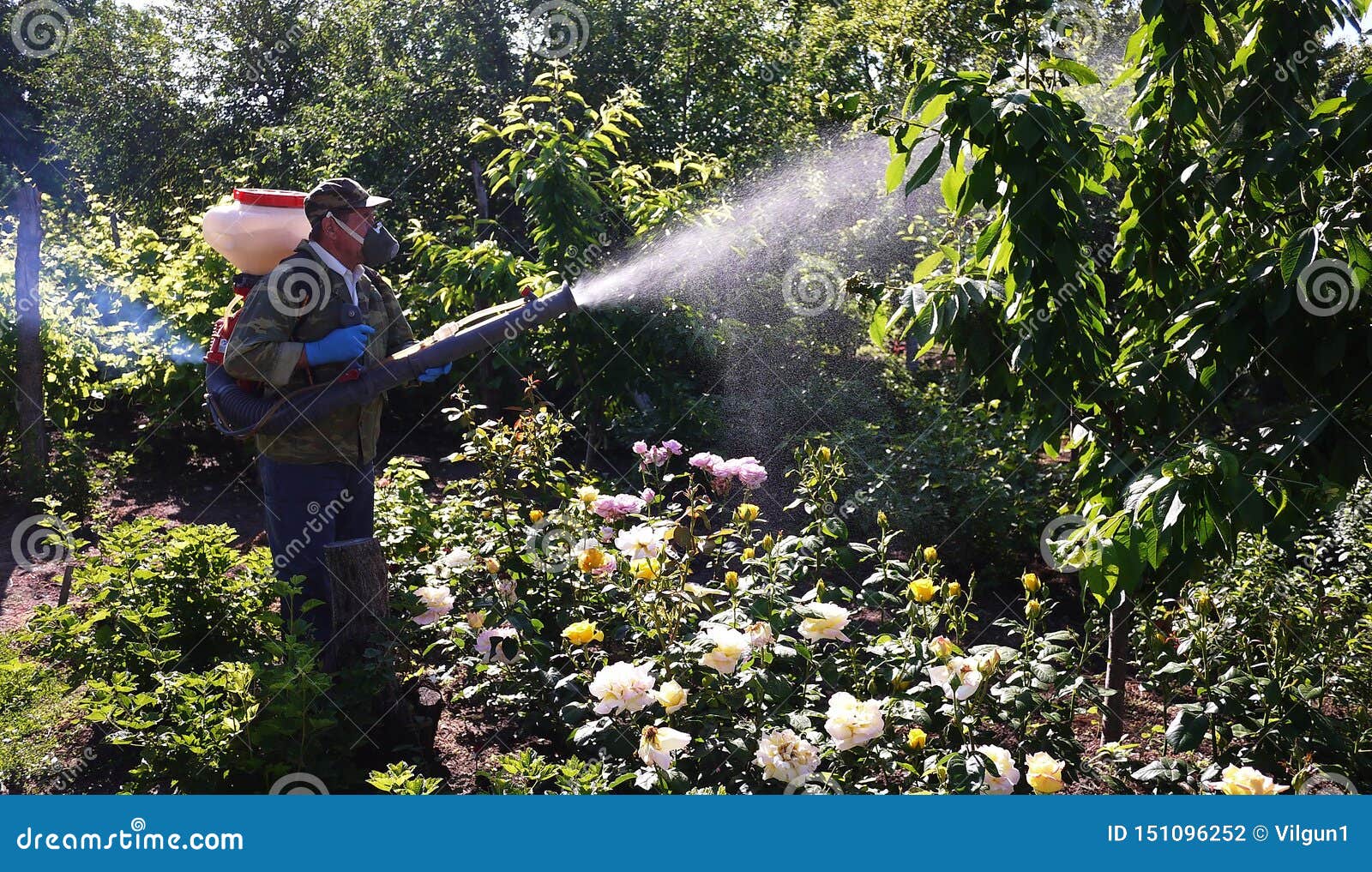 Device for Spraying Plants in the Garden. Details and Close-up Stock ...