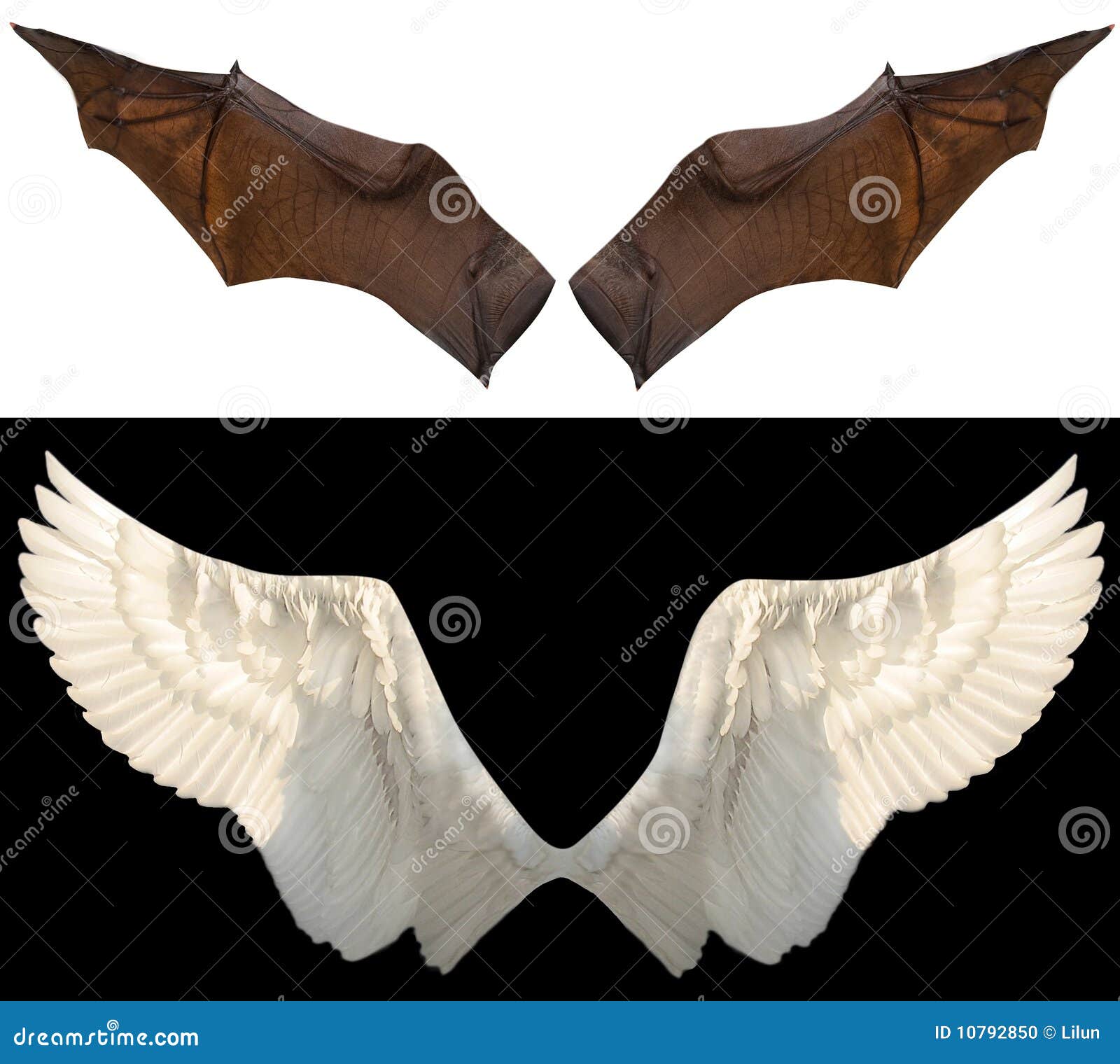 Devil Wings Side View