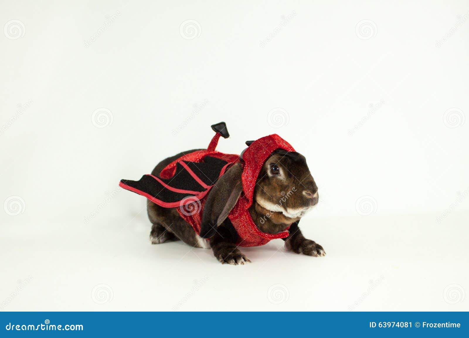 Devil Bunny stock image. Image of sweet, symbol, pointy - 63974081
