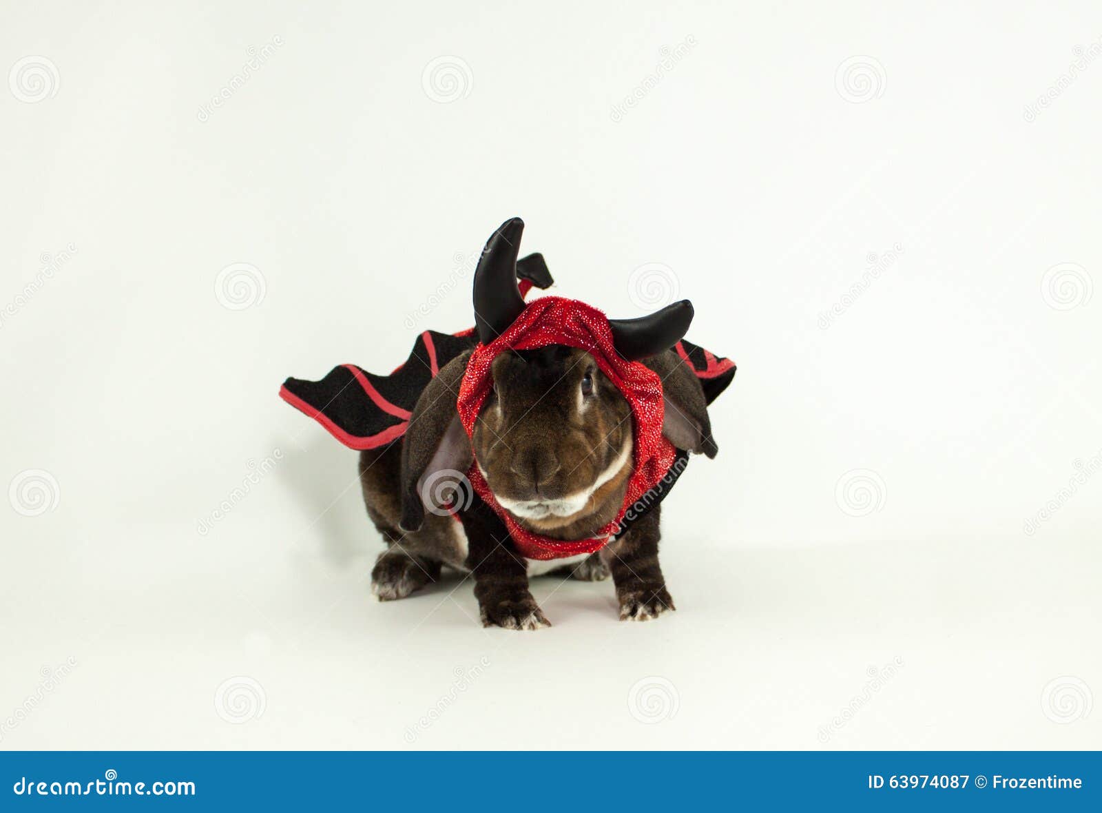 Devil Bunny stock image. Image of easter, brown, farm - 63974087