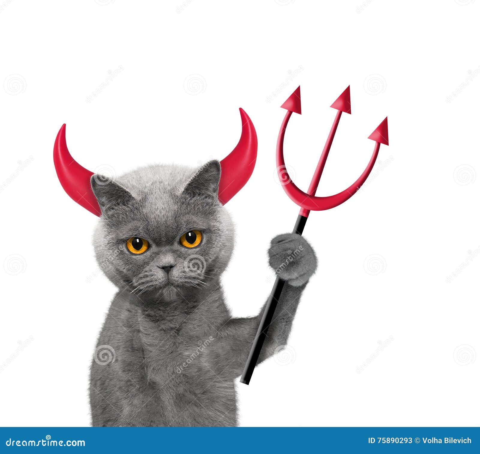 Devil is Cat`s Costume for Halloween Stock Image - Image of kitten ...