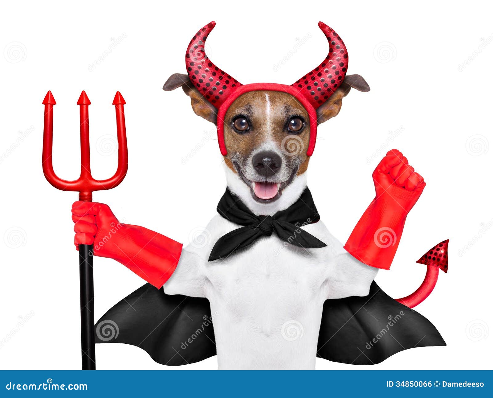 Devil dog stock photo. Image of death, happy, frightened - 34850066