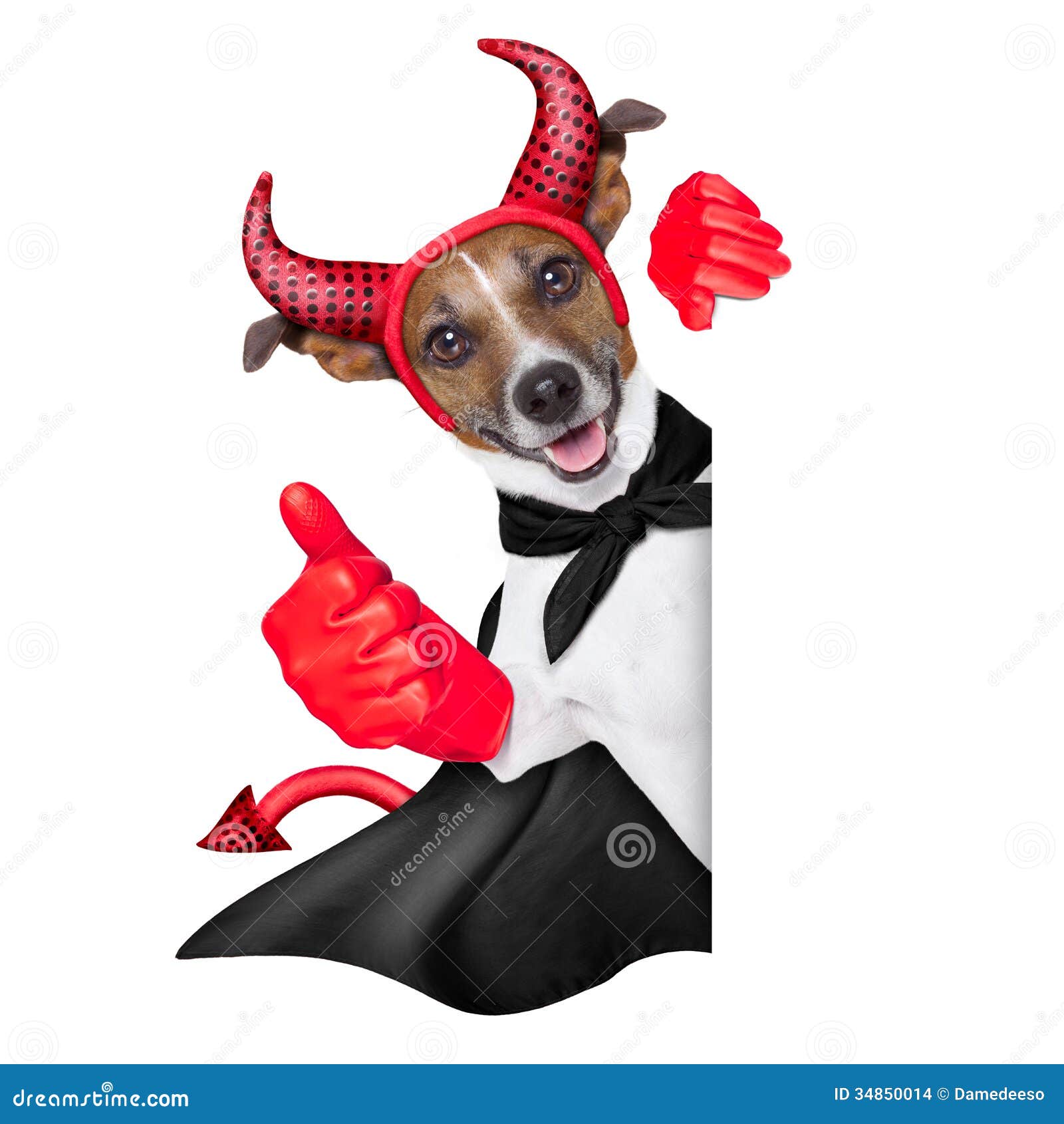 Devil dog stock photo. Image of monster, dangerous, funny - 34850014
