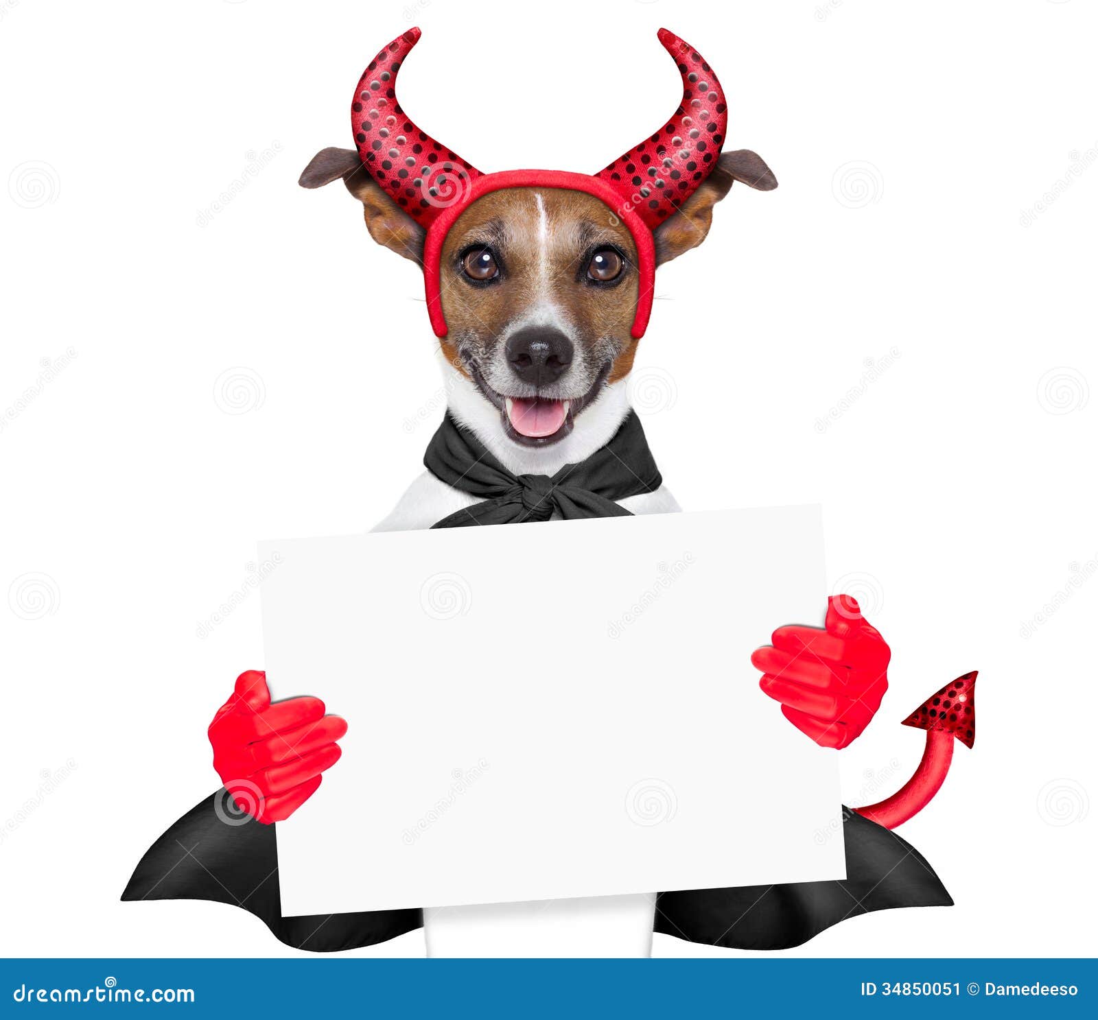 Devil dog stock image. Image of frightened, dangerous - 34850051
