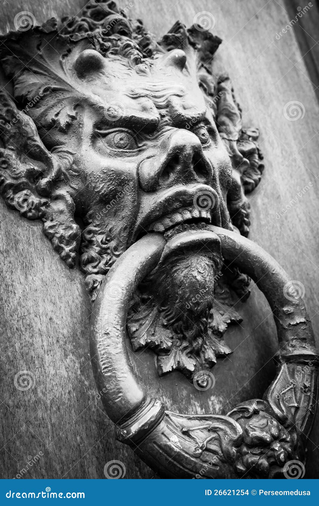 Devil Head Door Knocker stock photo. Image of head, door - 26621254