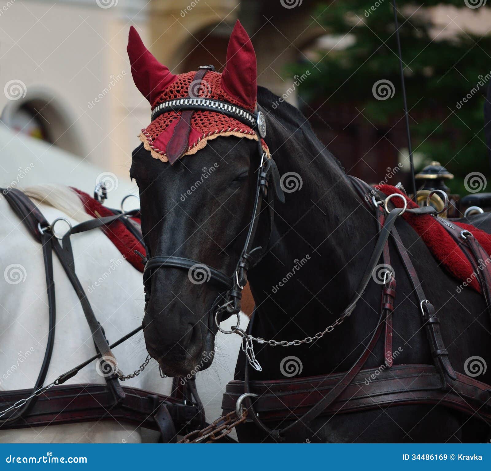 Devil horse stock image. Image of fortress, county, retro - 34486169