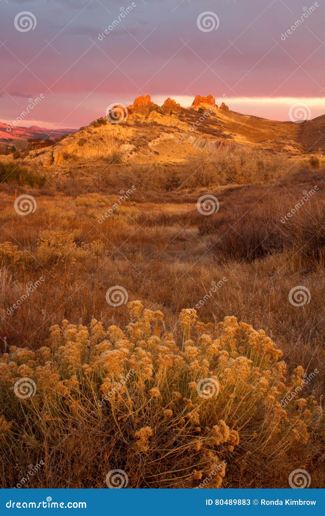 Devil`s Backbone at Sunrise Stock Image - Image of space, open: 80489883