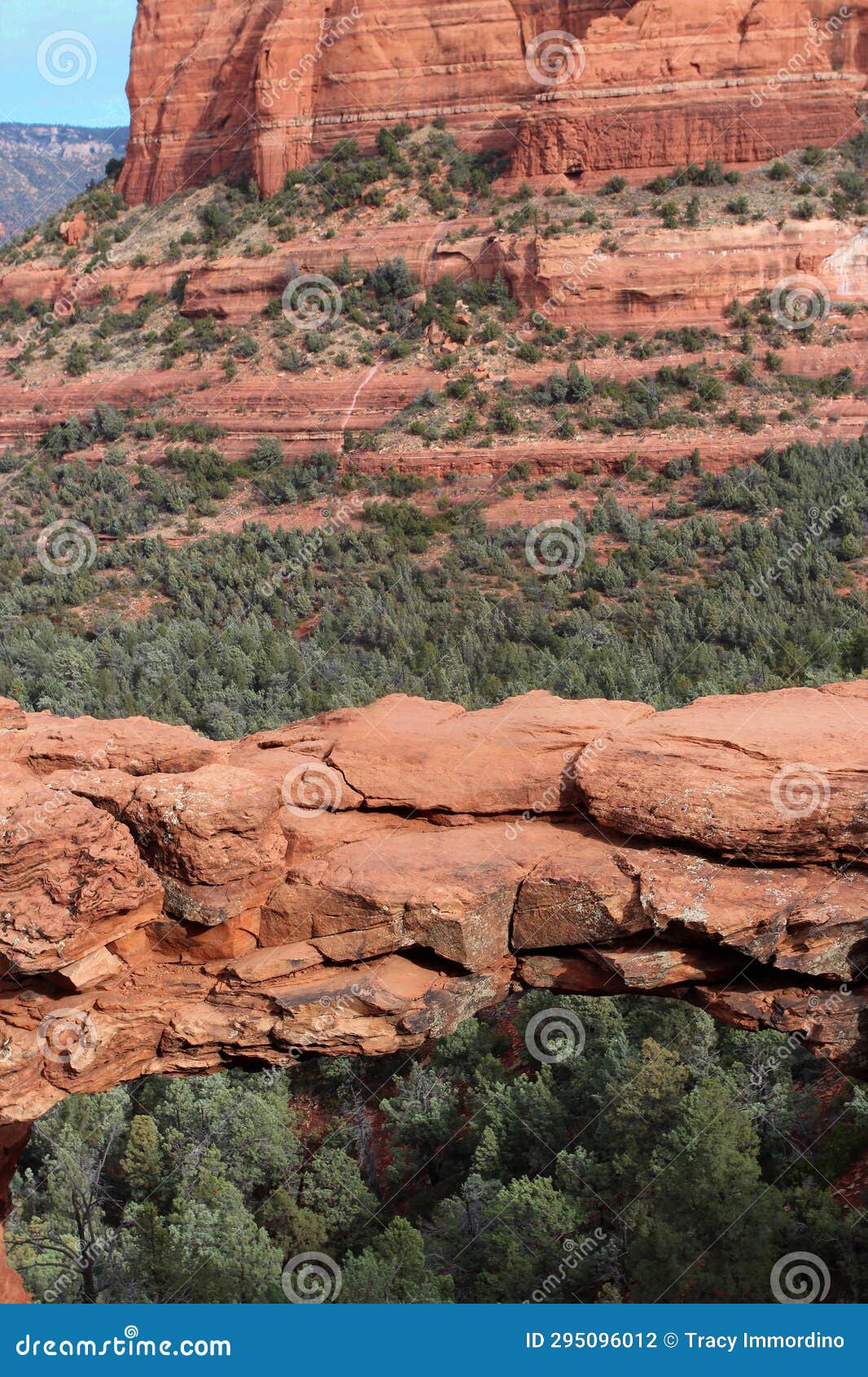 Devil S Bridge, a Natural Sandstone Arch, in Sedona, Arizona Stock ...