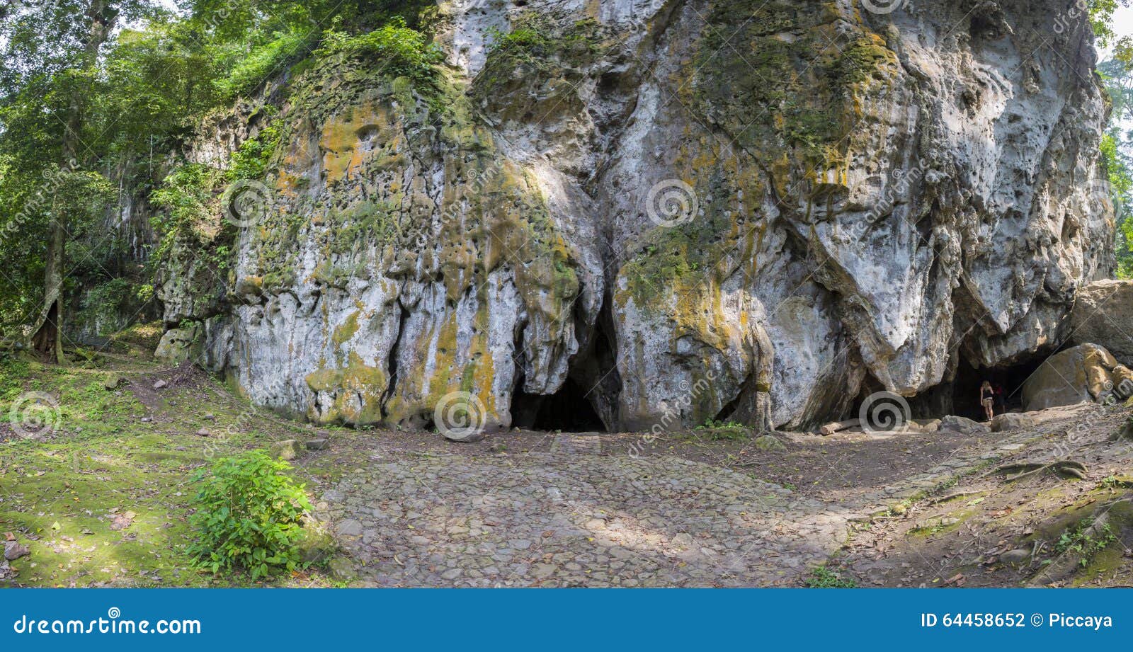 Devil S Cave, Canopy and Forest in Merida State Stock Photo - Image of ...