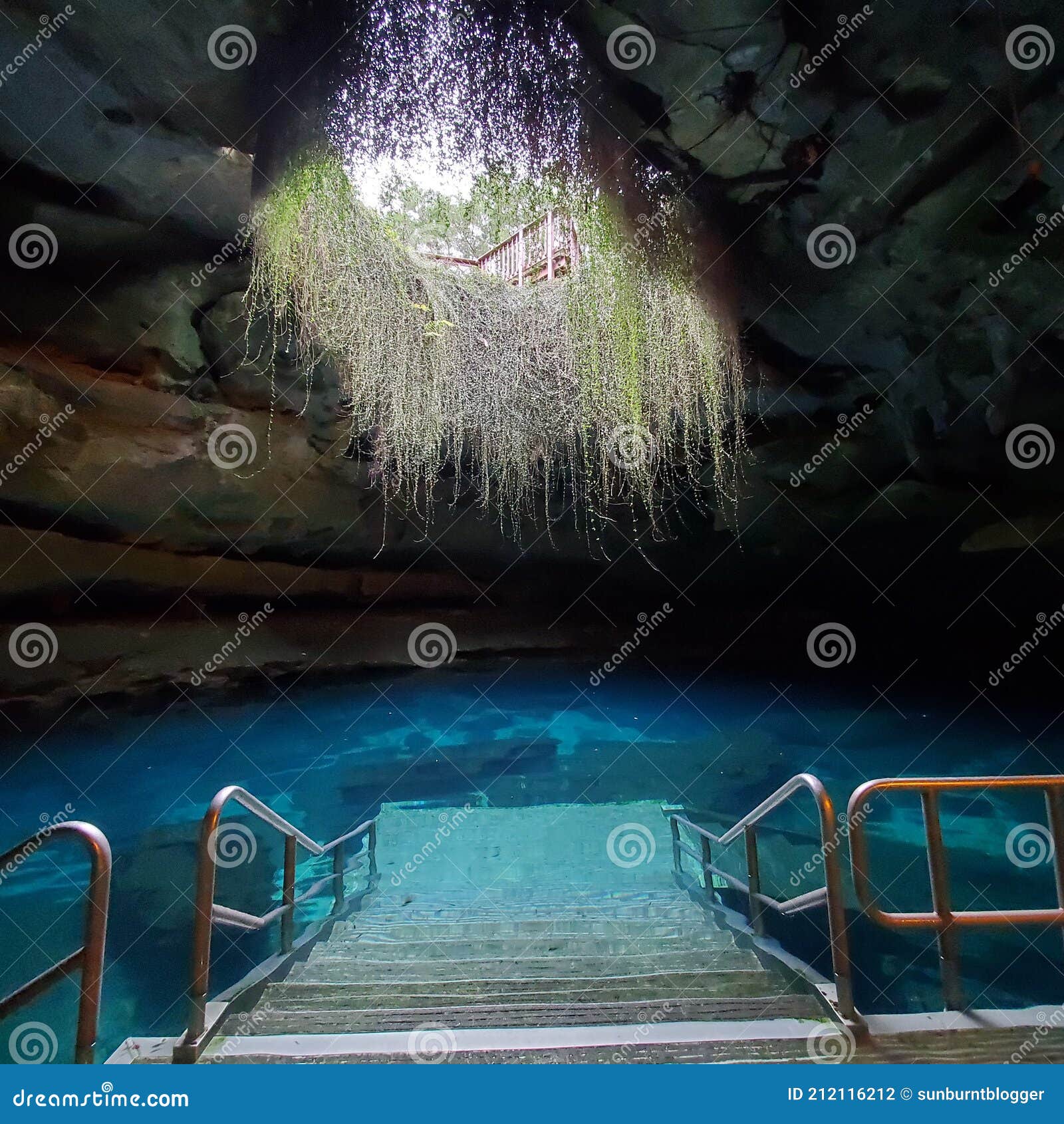 Devil S Den Prehistoric Spring, Florida Editorial Photography - Image ...