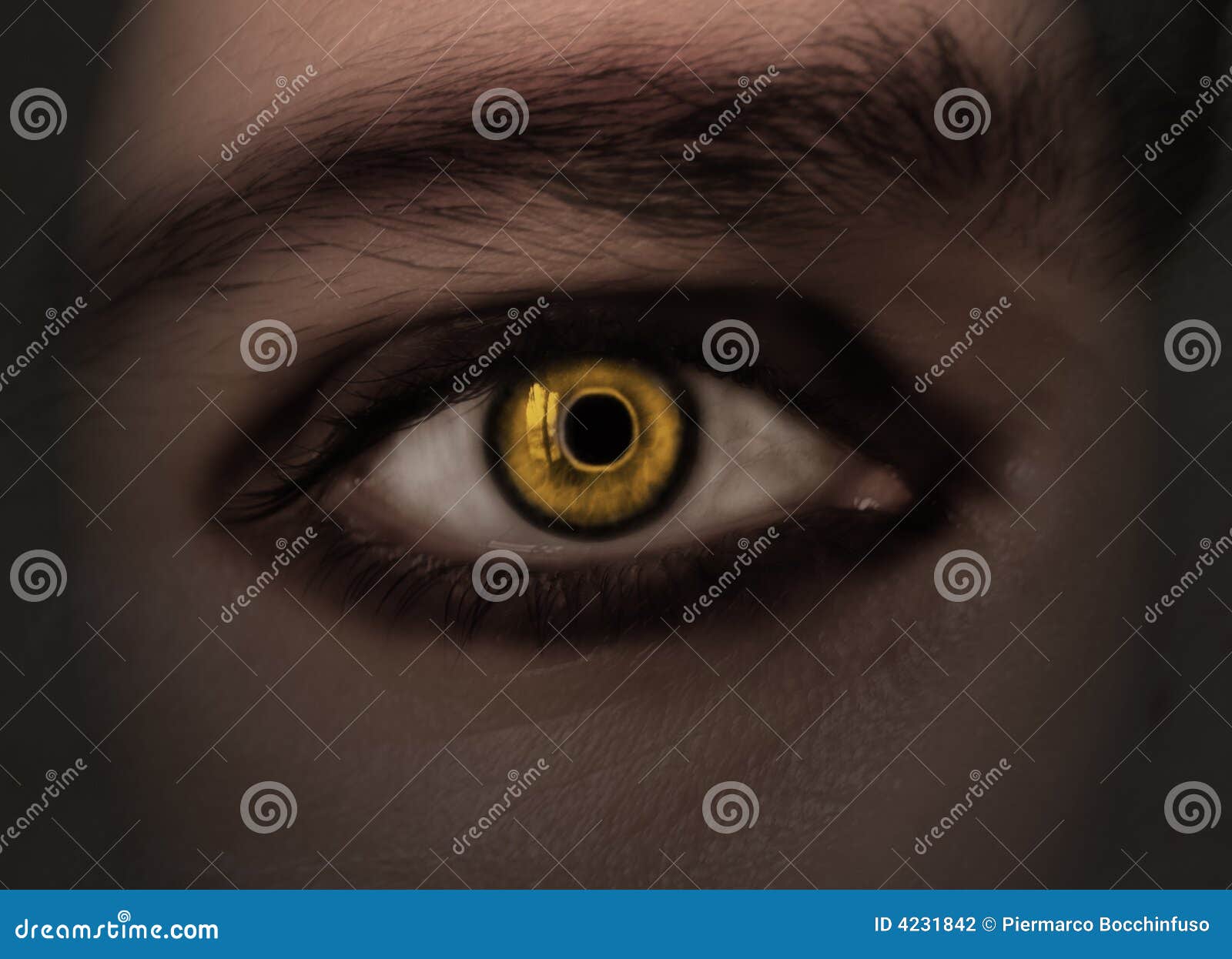 Devil s Eye stock illustration. Illustration of dark, designs - 4231842