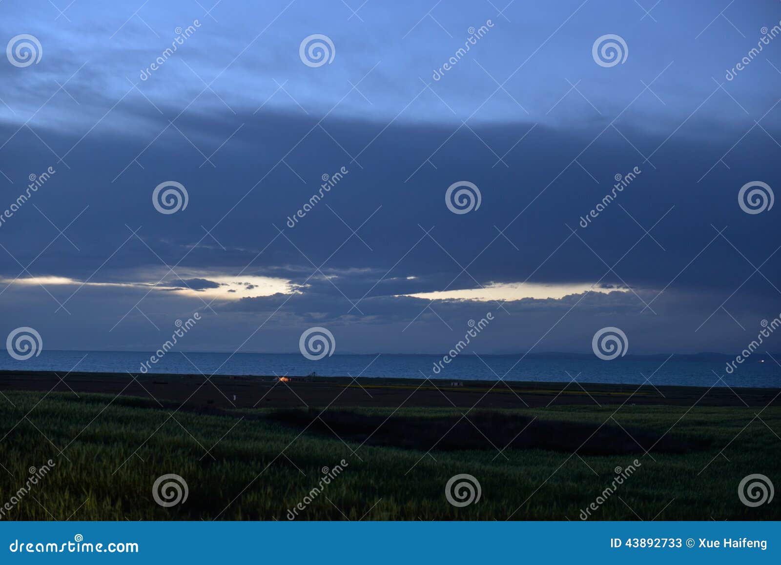 Devil s eyes stock image. Image of grassland, devil, green - 43892733