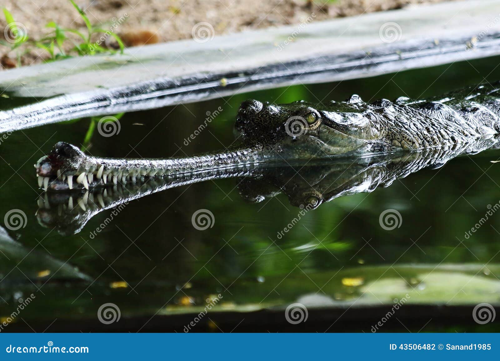 Devils Tooth And Toothpick In The Amphitheatre Stock Photo ...