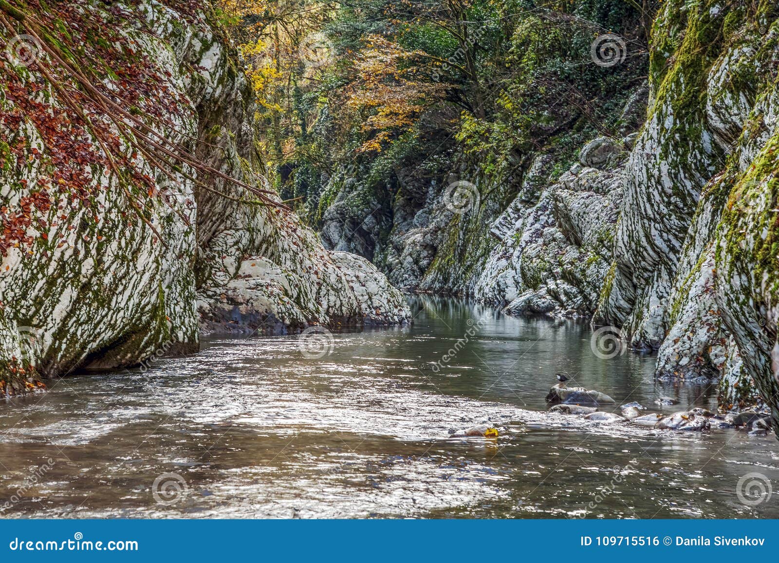 The Khost River in Late Autumn. Sochi National Park. Stock Photo ...