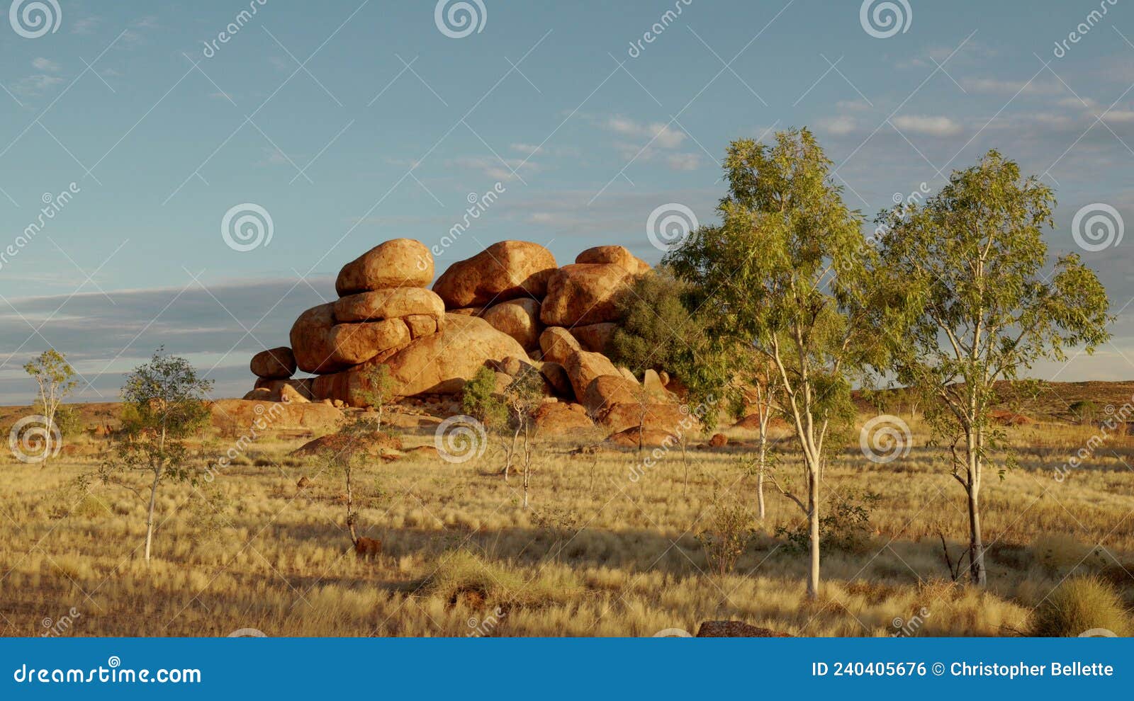 Devil S Marbles and Eucalyptus Trees at Sunset Stock Photo - Image of ...