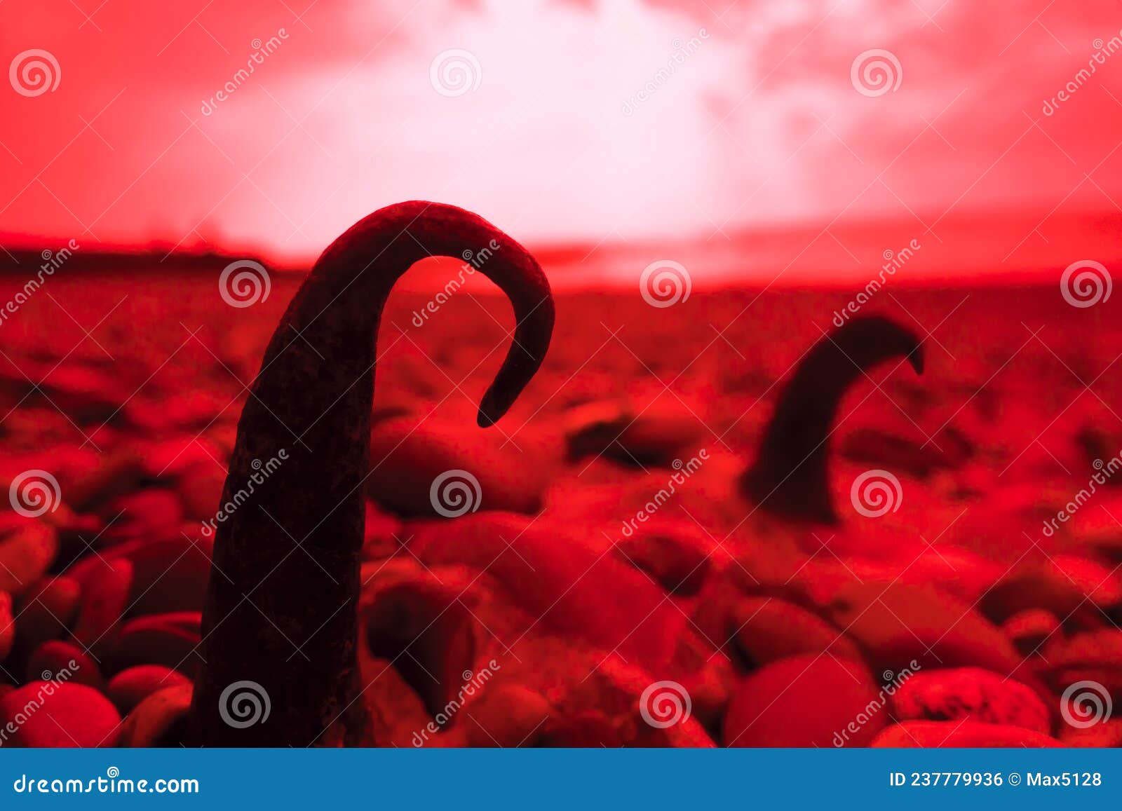 The Devil s Tree stock photo. Image of hallucination - 237779936