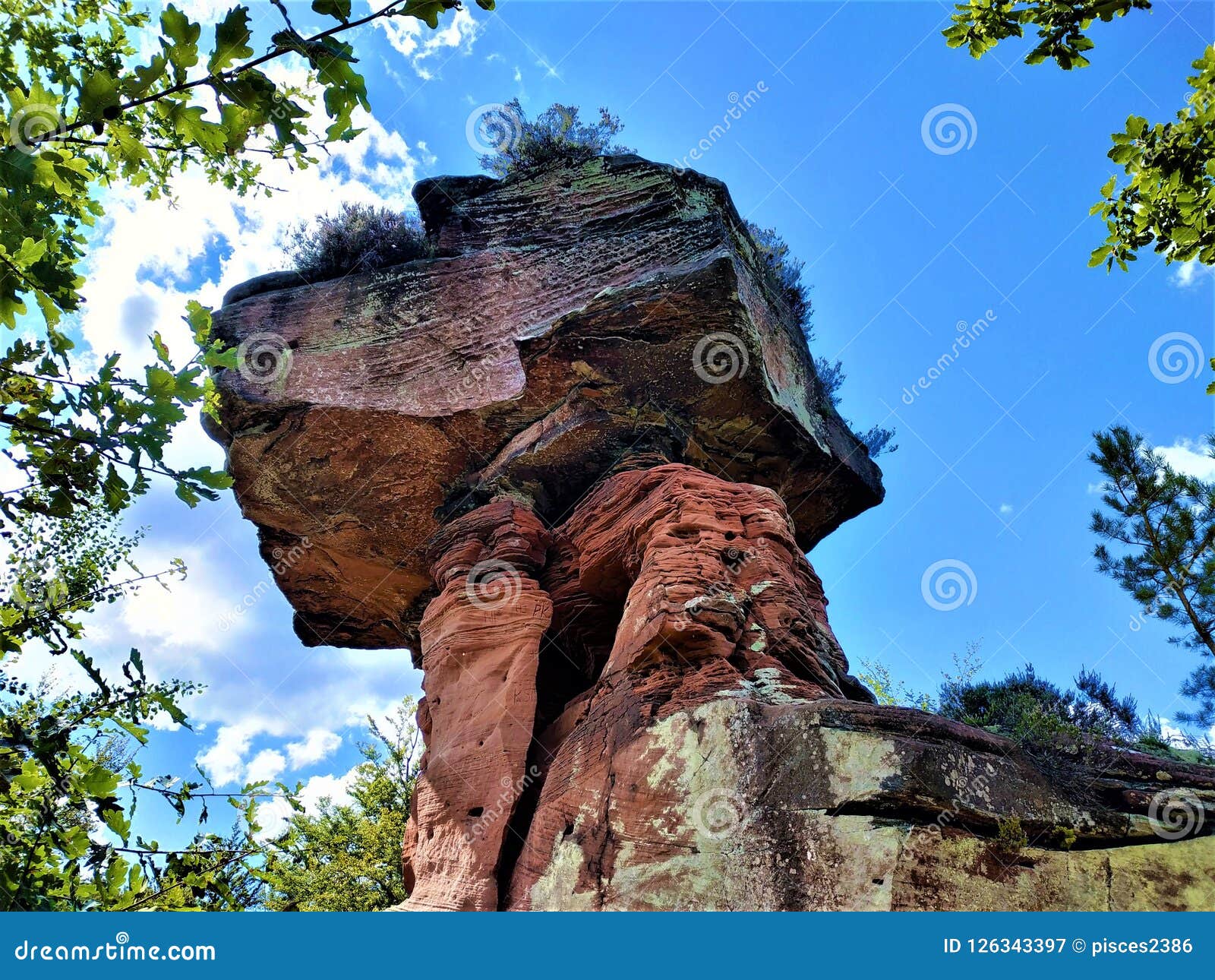 The Devil`s Table of Hinterweidenthal from Frog`s Perspective Stock ...