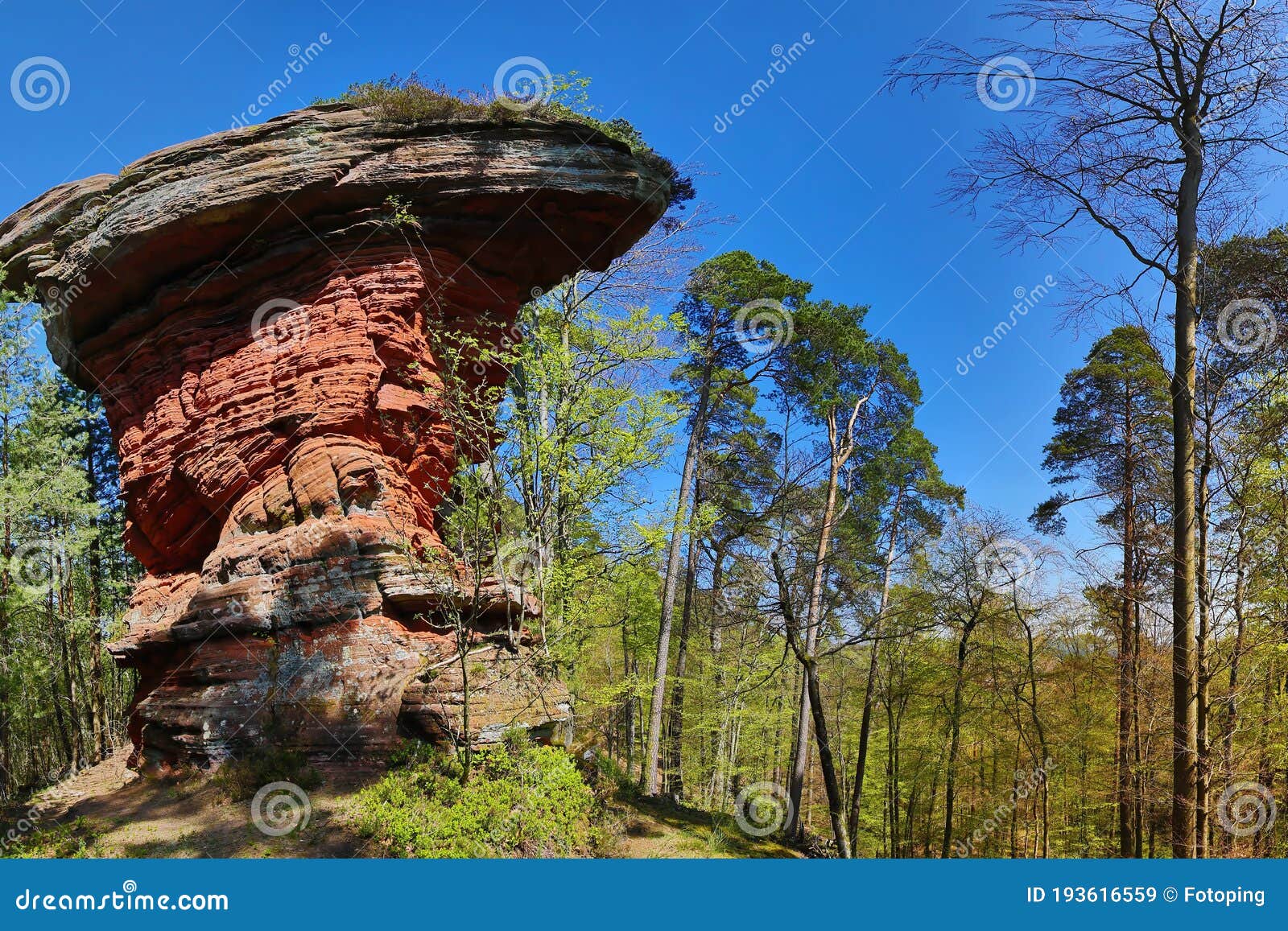 Devil`s Table Stands on a Hill Stock Image - Image of boletus, natural ...