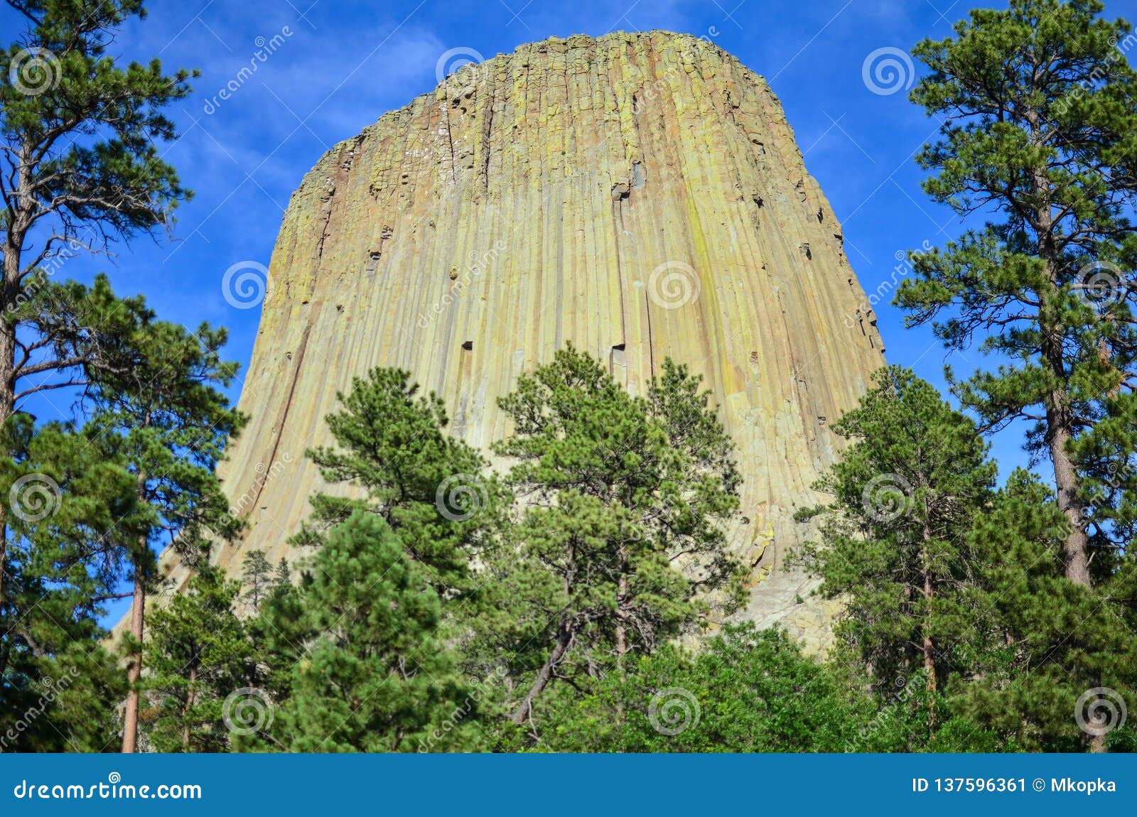 Devil`s Tower National Monument Framed by Trees on a Bright Summer Day ...