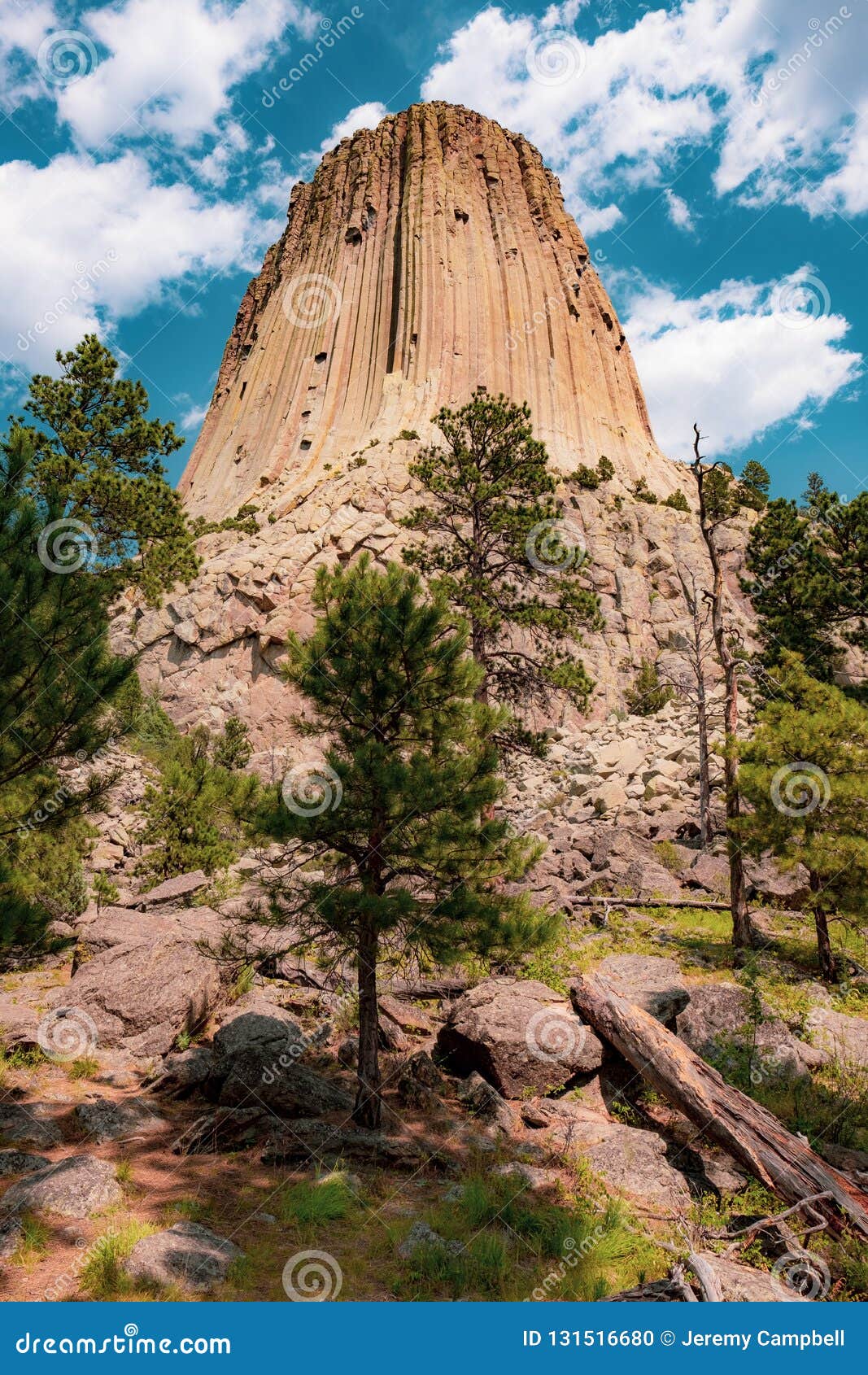 Devil`s Tower in Wyoming stock photo. Image of pine - 131516680