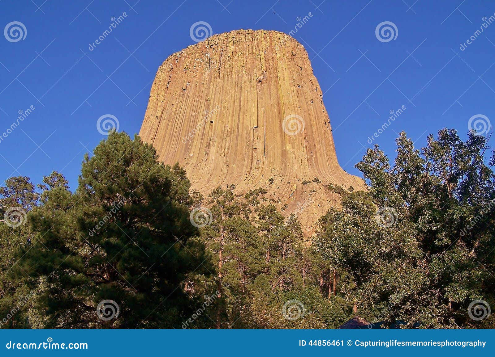 Devil s Tower stock image. Image of devil, rocks, landmark - 44856461