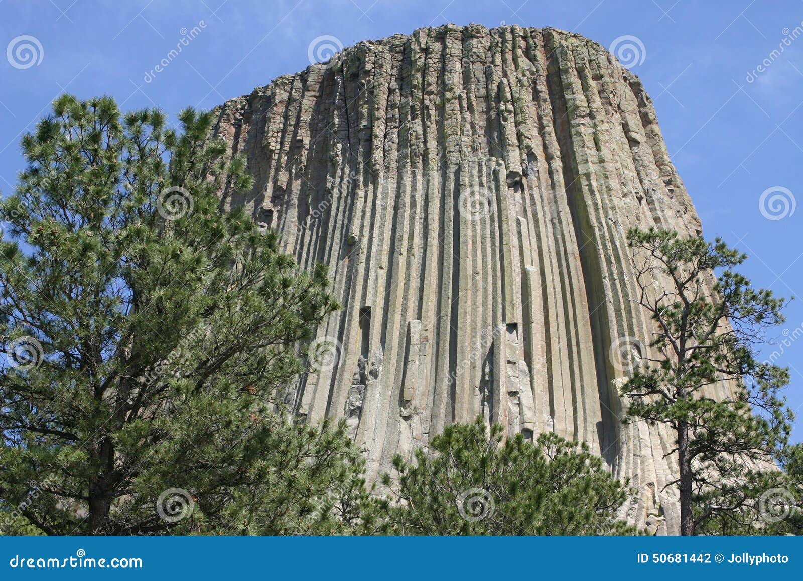 Devil s Tower and Tree stock photo. Image of monument - 50681442
