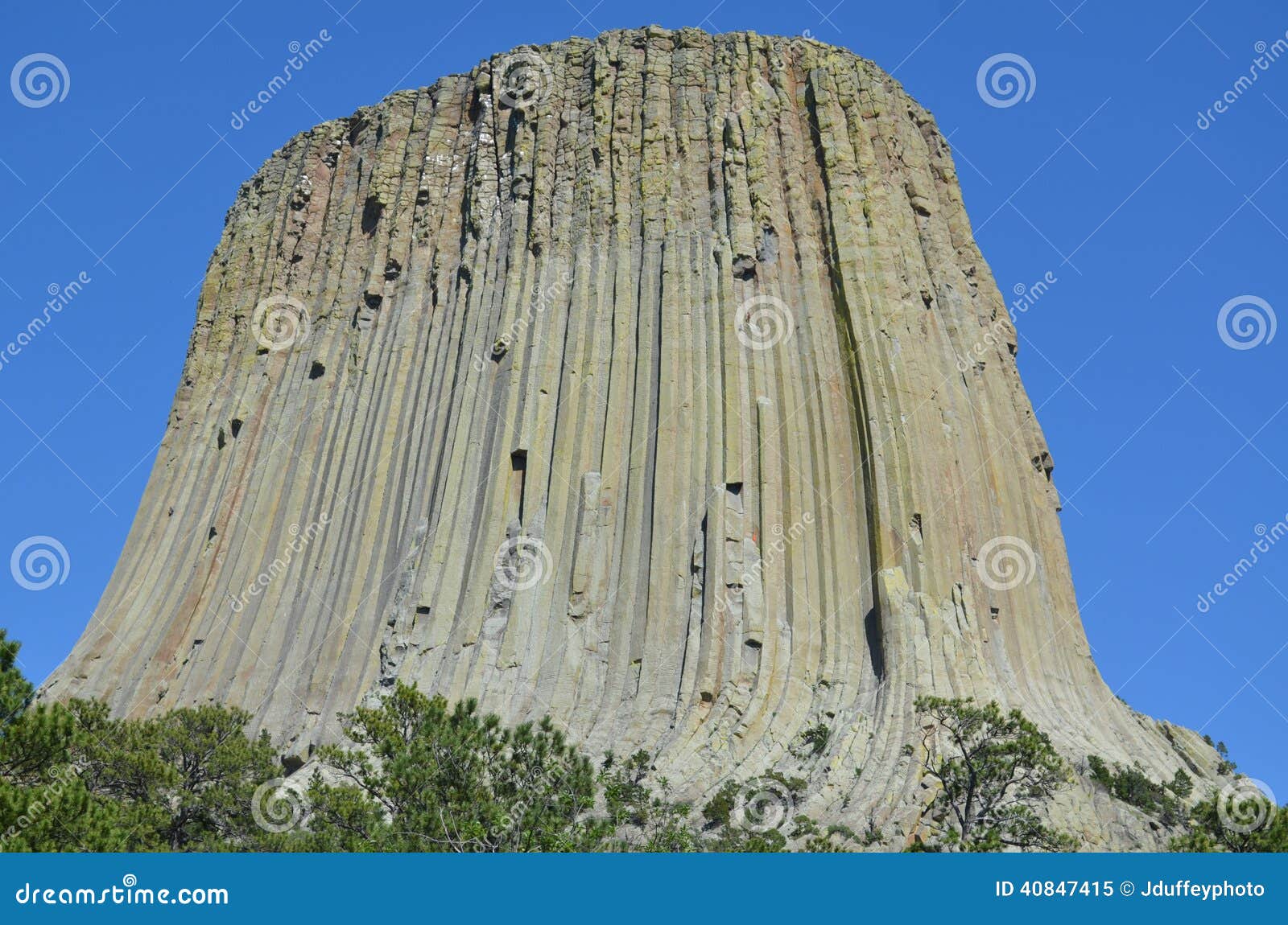 Devil s Tower stock image. Image of viewing, tree, wyoming - 40847415
