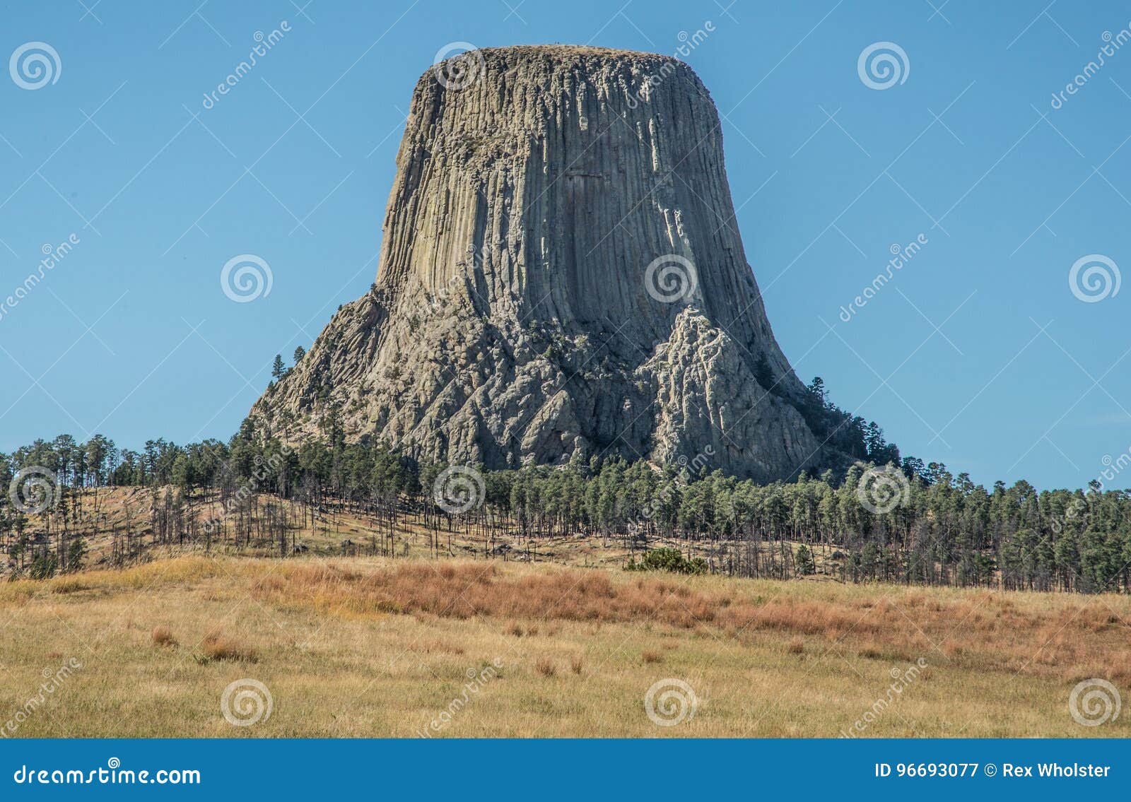 Devil`s Tower in Wyoming stock image. Image of geology - 96693077