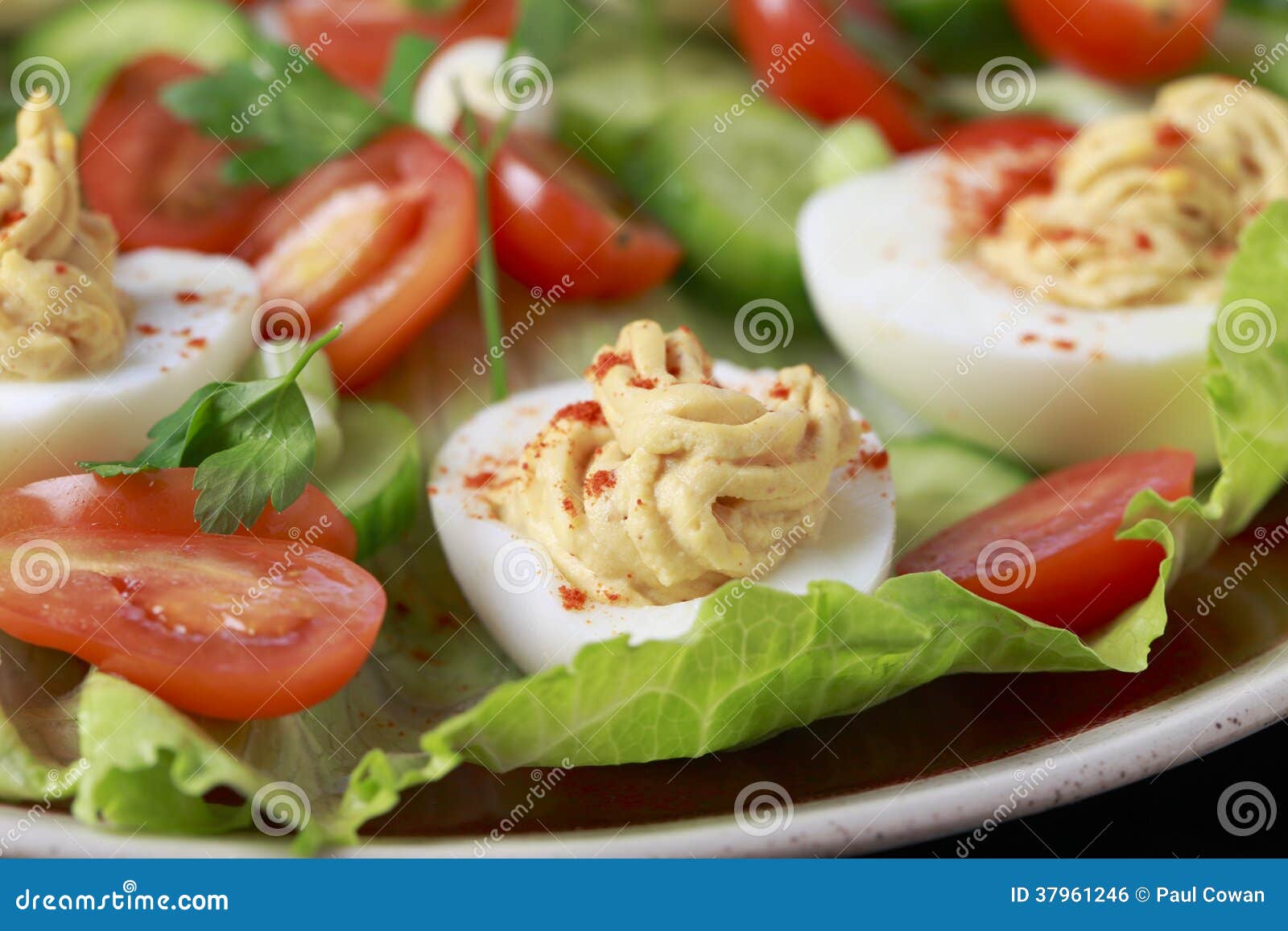 Deviled egg salad macro stock photo. Image of chili, hardboiled - 37961246
