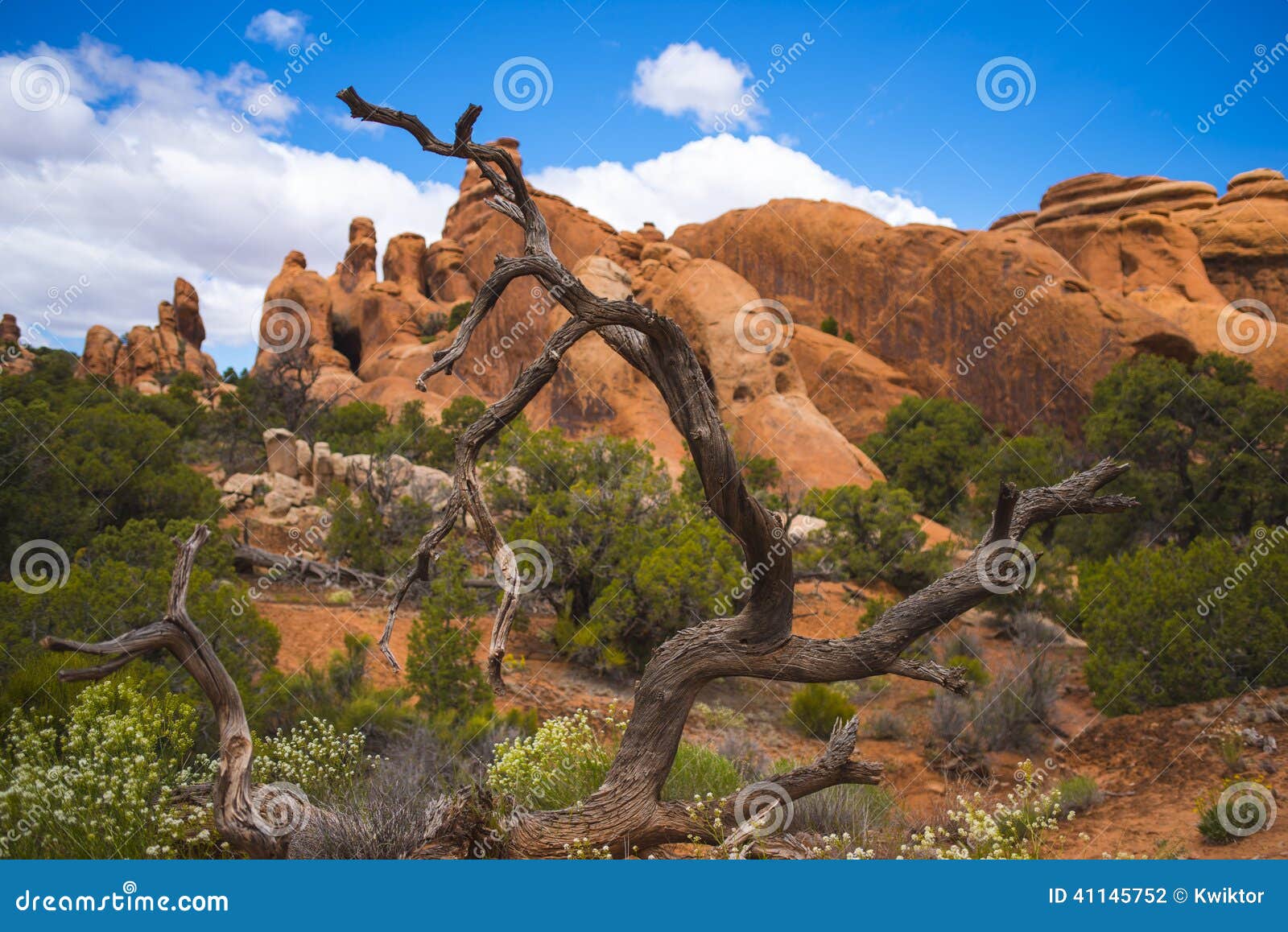 Devils Garden stock photo. Image of fiery, pretty, delicate - 41145752