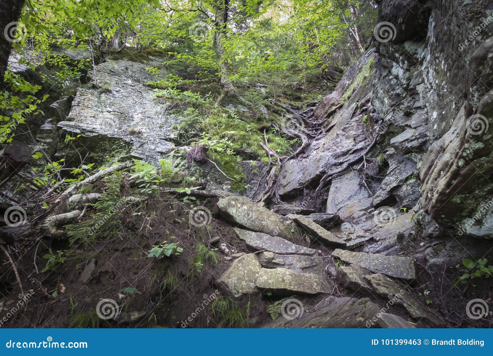 Devils Path Hiking Trail in the Catskill Mountains Stock Image - Image ...