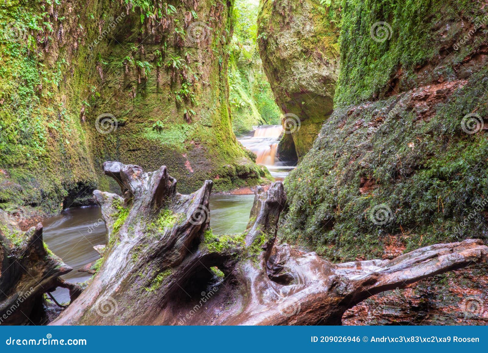 Devils Pulpit Stirling Scotland Stock Photo - Image of woodland ...