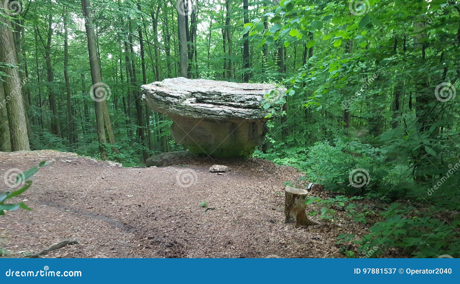 Devils Table stock image. Image of stone, devils, forest - 97881537