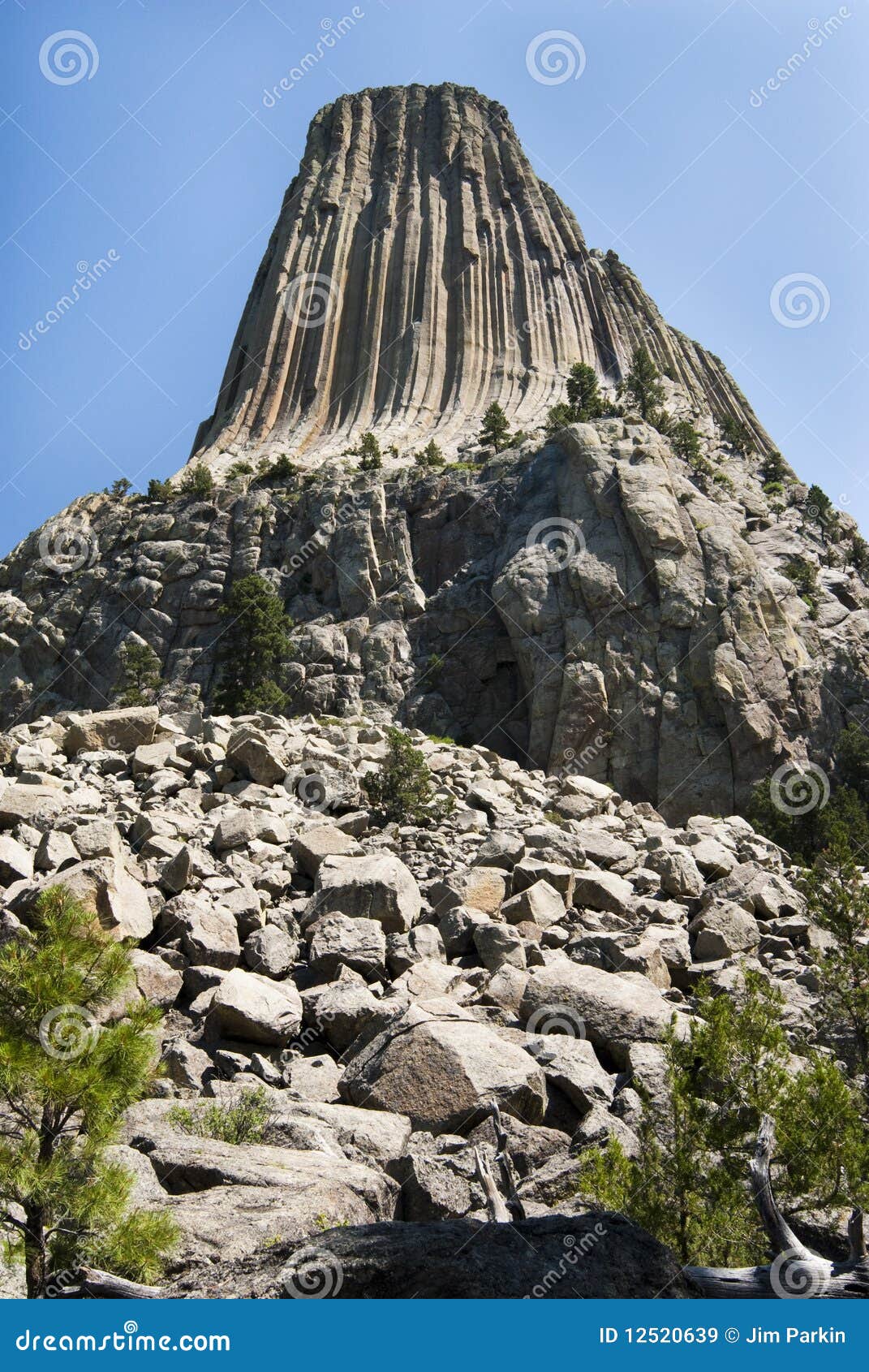 Devils Tower and Boulder Field Stock Image - Image of field, travel ...