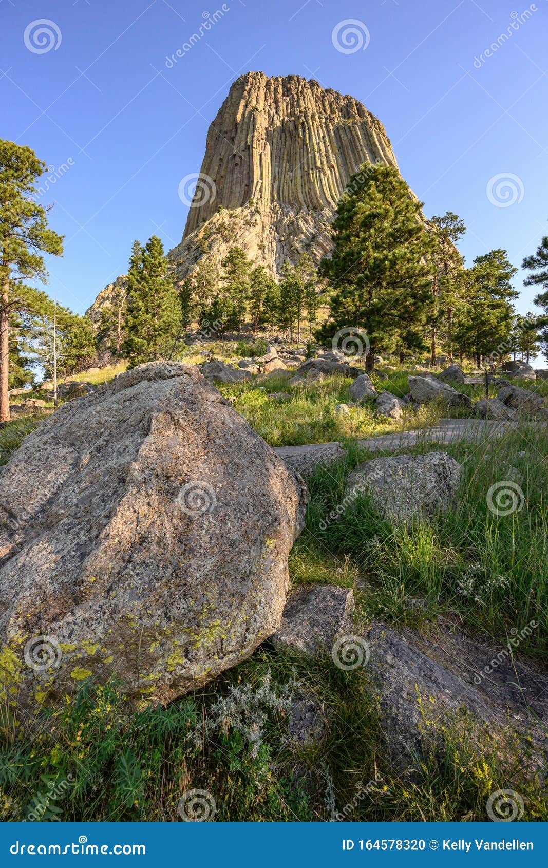 Devils Tower Looms Over Trees and Rocks Stock Photo - Image of sacred ...