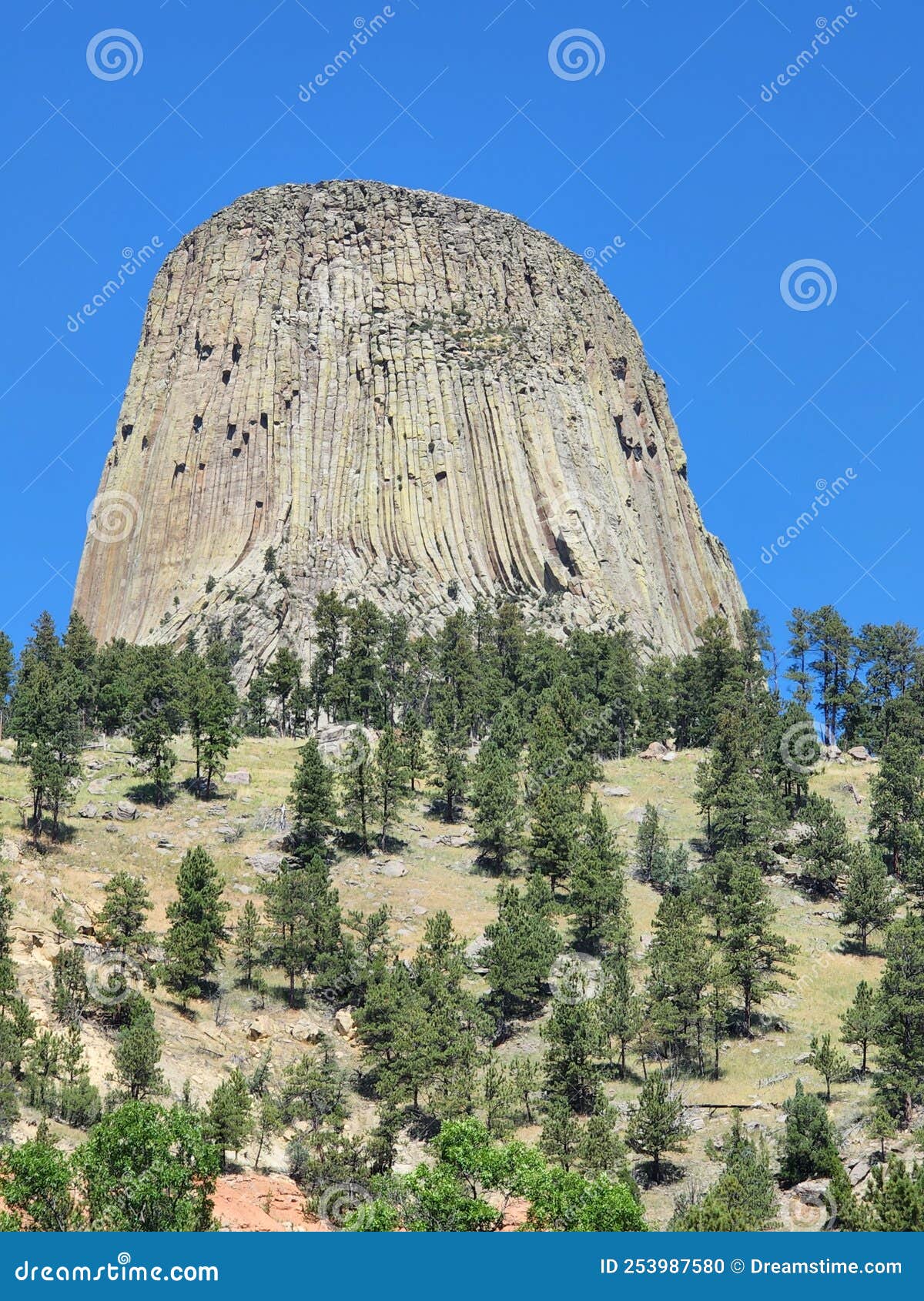 Devils Tower National Monument Stock Photo - Image of tree, rock: 253987580