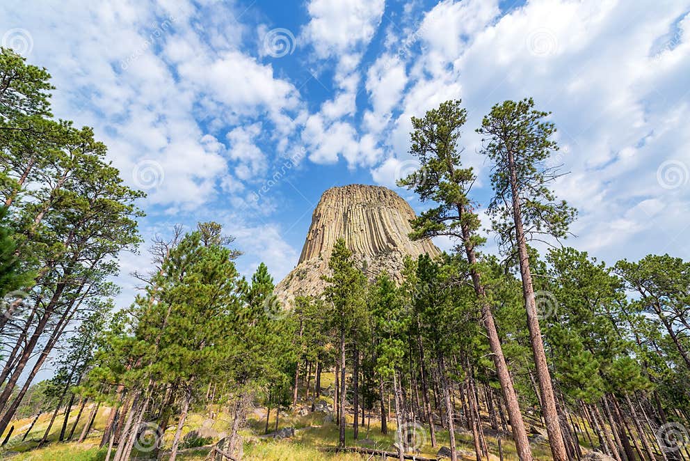 Devils Tower and Pine Trees Stock Photo - Image of white, nature: 66967496