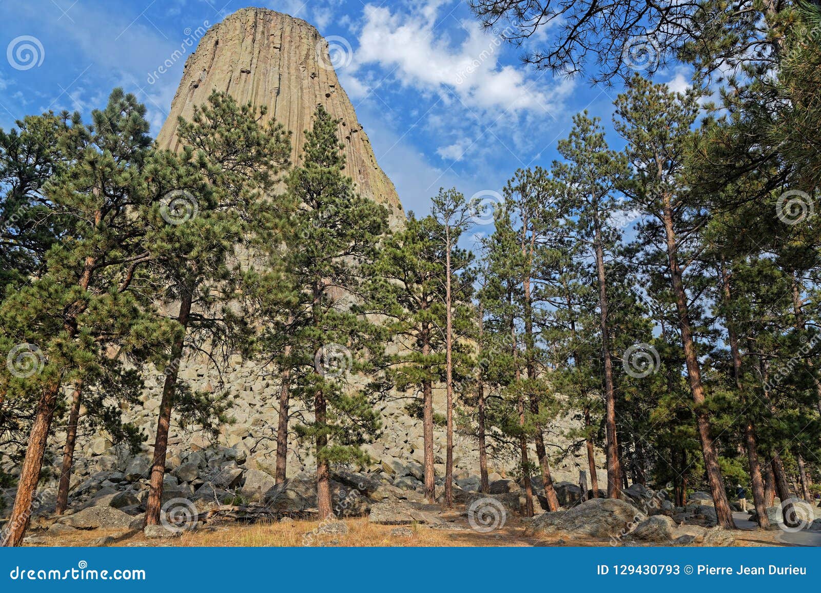 Devils Tower Summit Seen through the Forest Stock Image - Image of bear ...