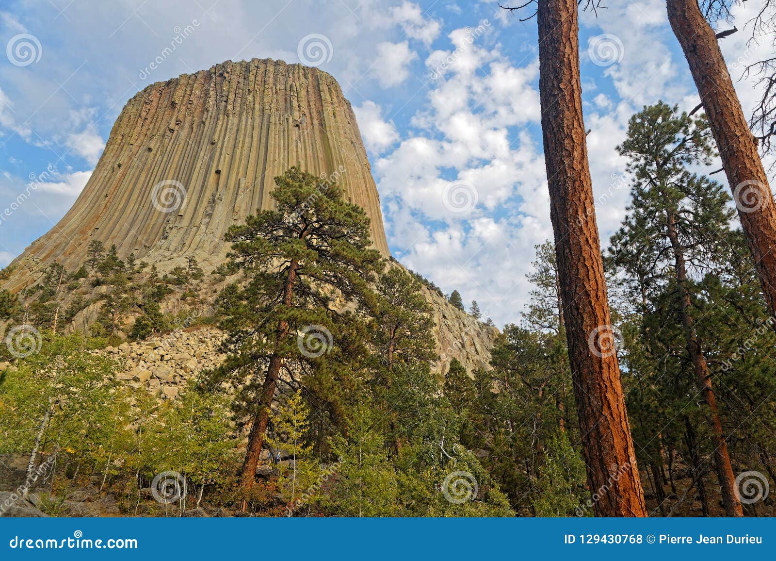 Devils Tower Summit Seen through the Trees Stock Photo - Image of ...
