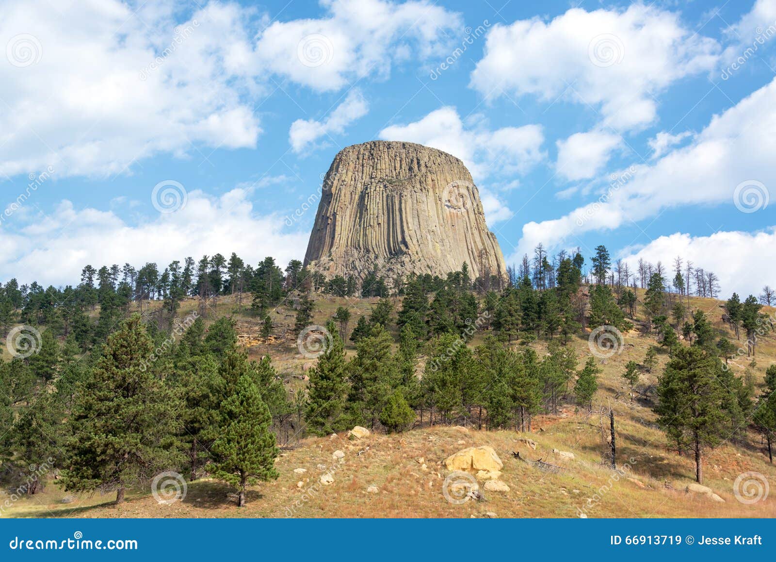 Devils Tower and Trees stock image. Image of outdoors - 66913719