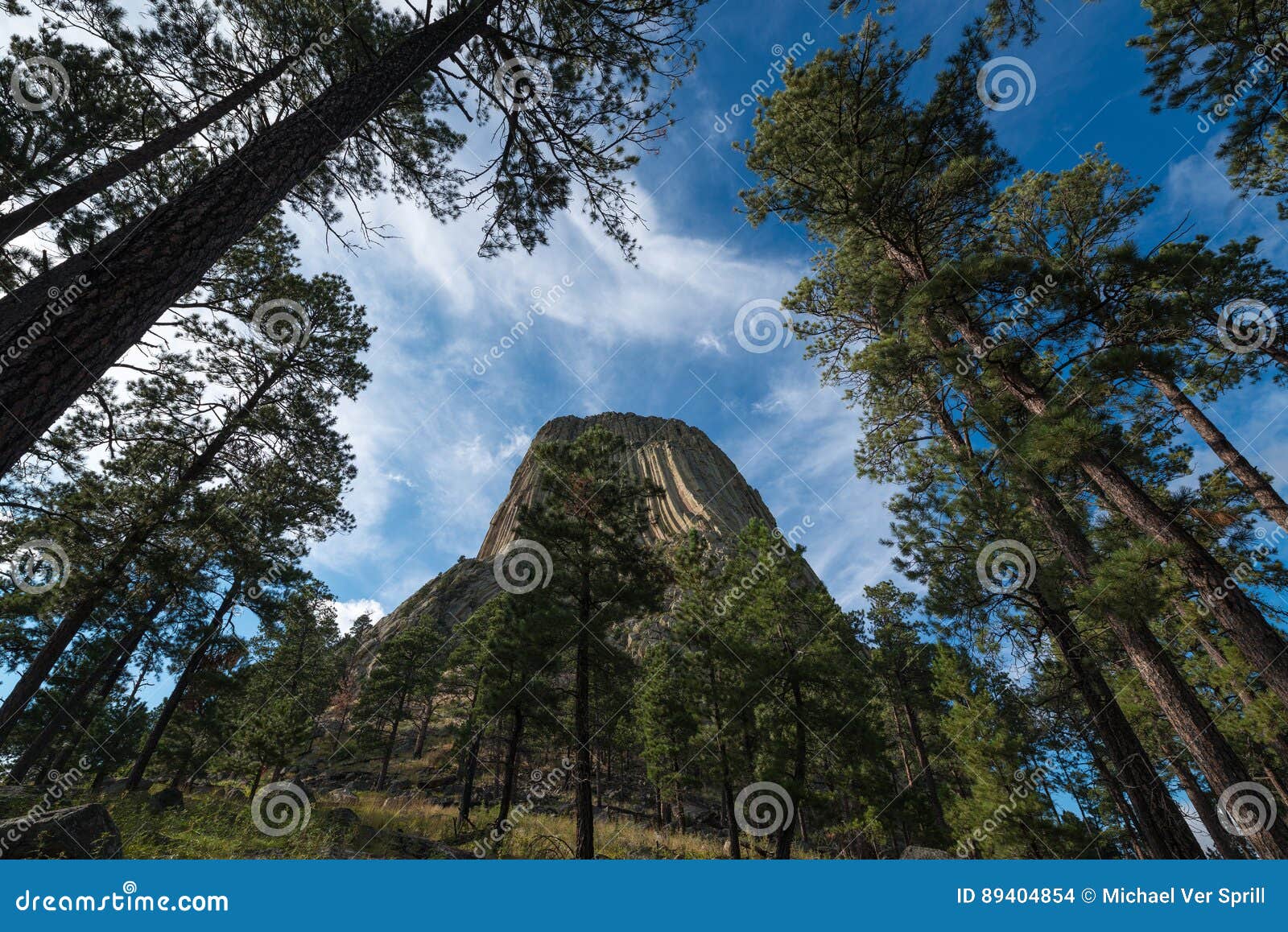 Devils Tower through the Trees Stock Photo - Image of green, capped ...