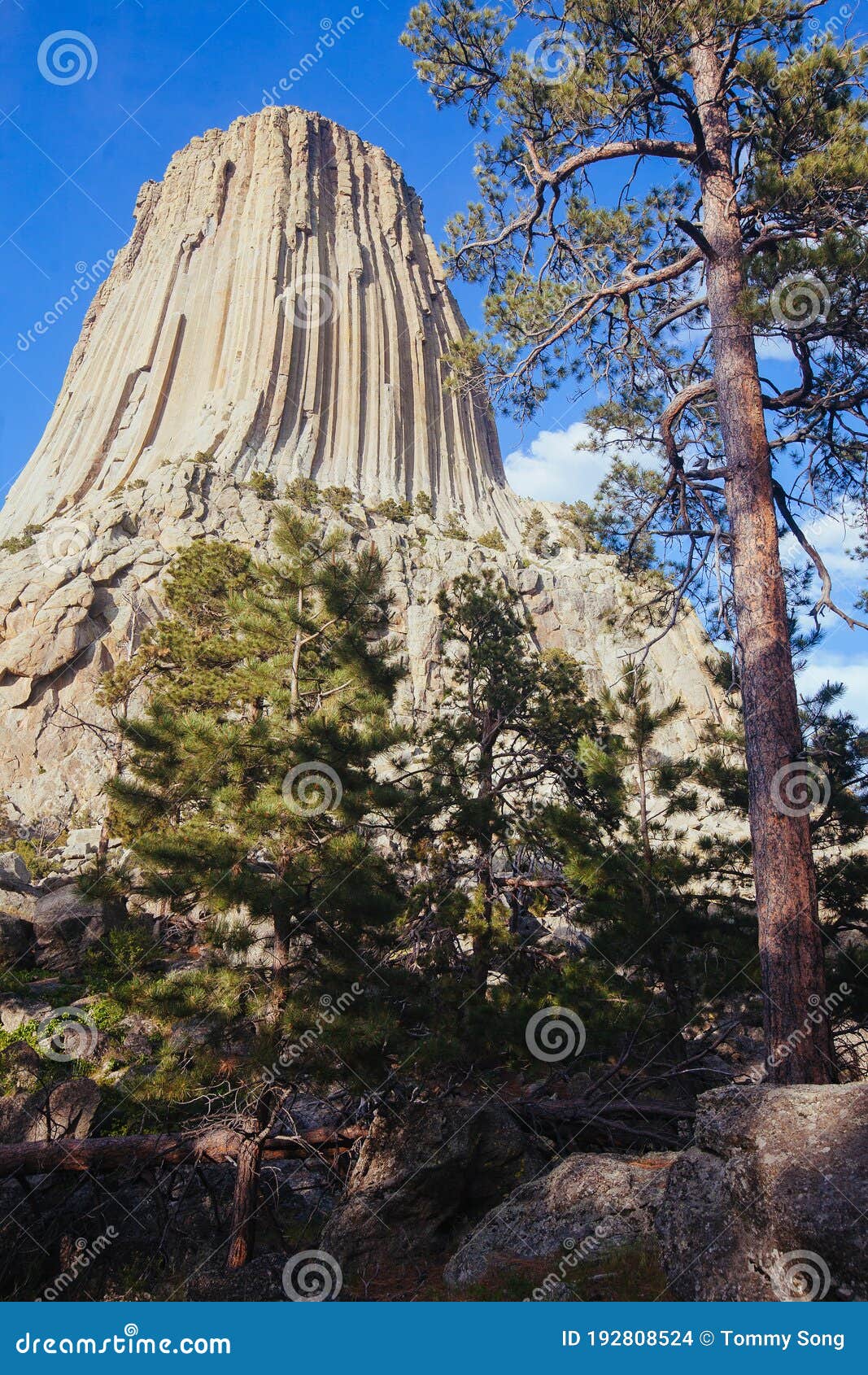 Devils Tower Wyoming from Tower Loop Trail Stock Photo - Image of third ...