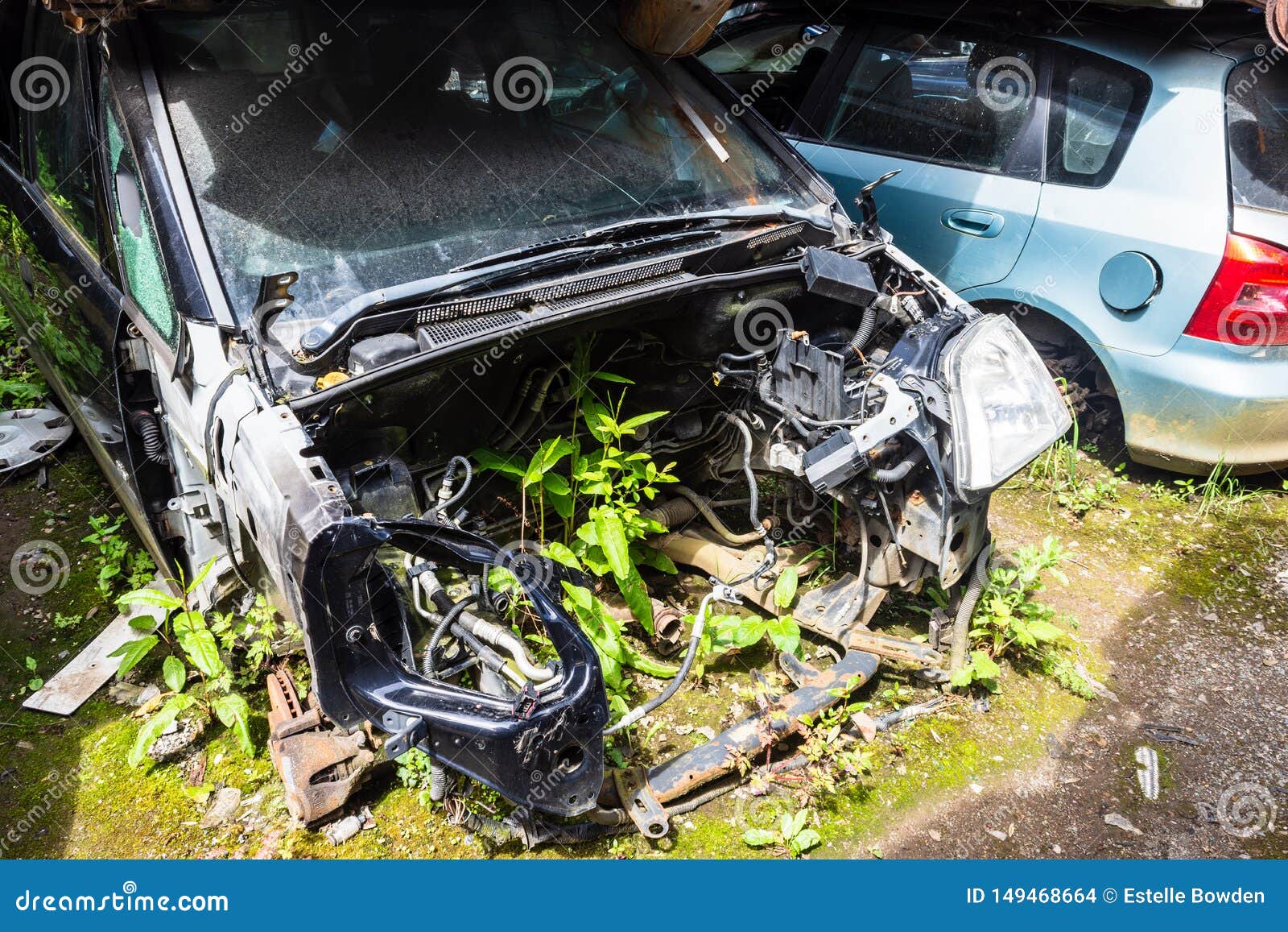Devizes Wiltshire May 22nd 2019 Wild Plants Growing through an Empty ...