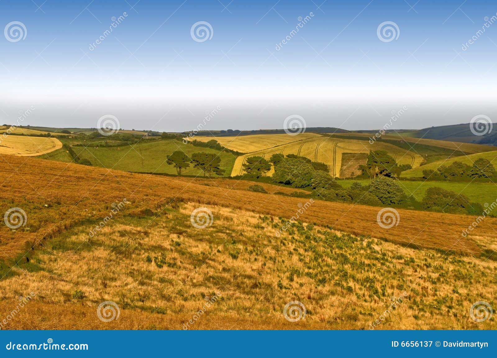 Devon stock image. Image of kingsbridge, outdoors, panoramic - 6656137