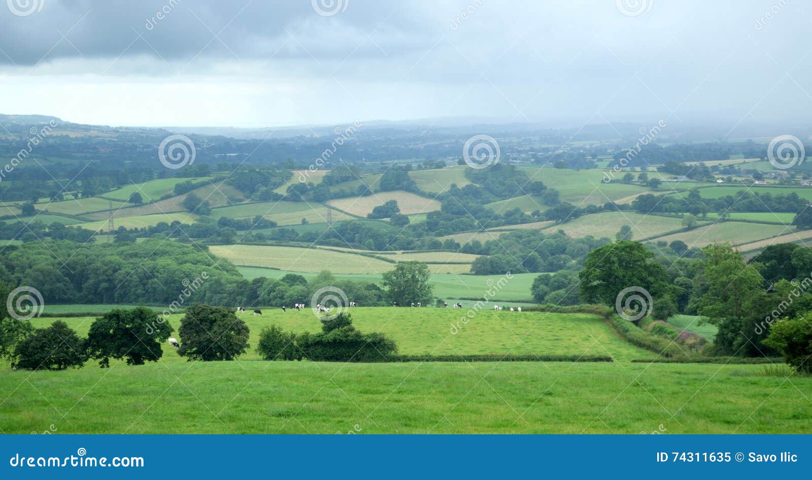 Devon stock image. Image of countryside, farm, location - 74311635