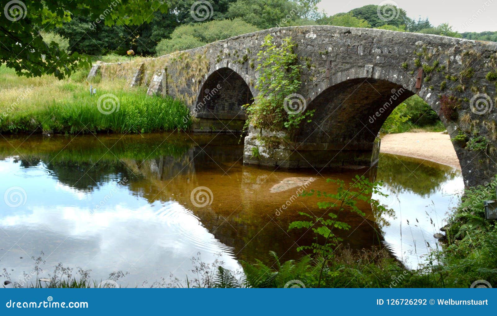 Devon bridge stock photo. Image of devon, bridge, river - 126726292