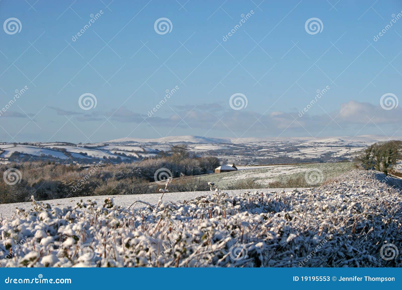 Devon countryside stock image. Image of winter, devon - 19195553